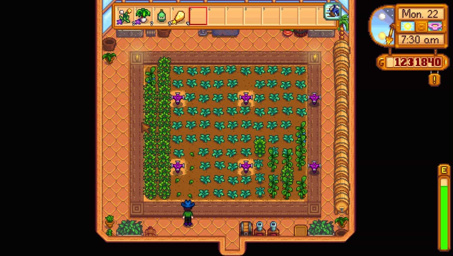 Stardew Valley Sprinkler Guide - Assorted Meeples