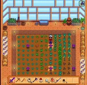 Stardew Valley Rare Seed Guide: EVERYTHING You Need to Know about Rare ...