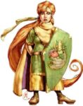 D&D Lawful Good Alignment Guide – Assorted Meeples