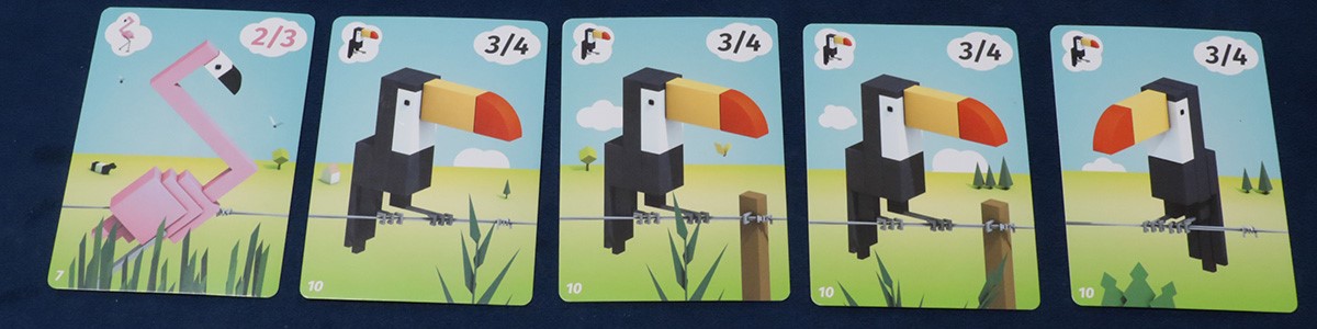 CuBirds Rules And Strategies For Assembling The Perfect Flock ...