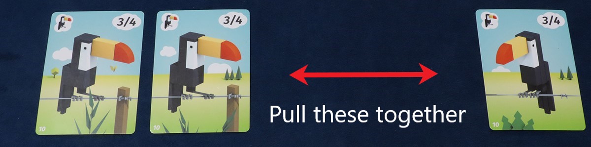 CuBirds Rules And Strategies For Assembling The Perfect Flock ...