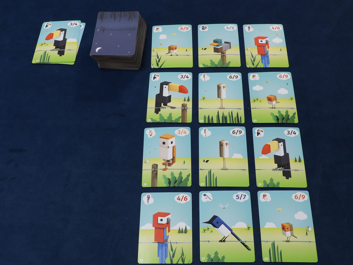 CuBirds Rules And Strategies For Assembling The Perfect Flock ...