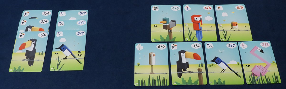 CuBirds Rules And Strategies For Assembling The Perfect Flock ...